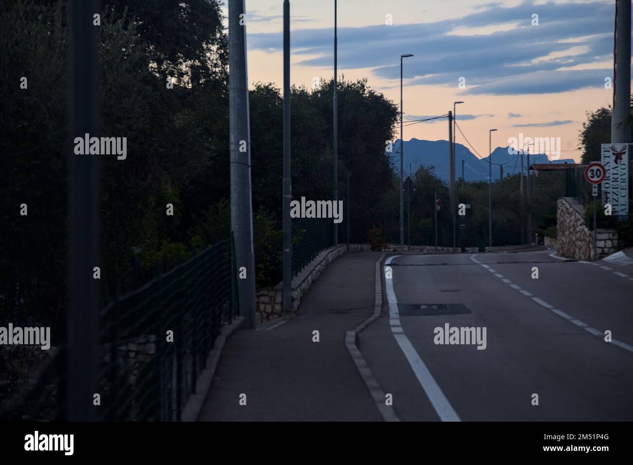 Main road bordered by olive tree plantations in late summer Stock Photo ...