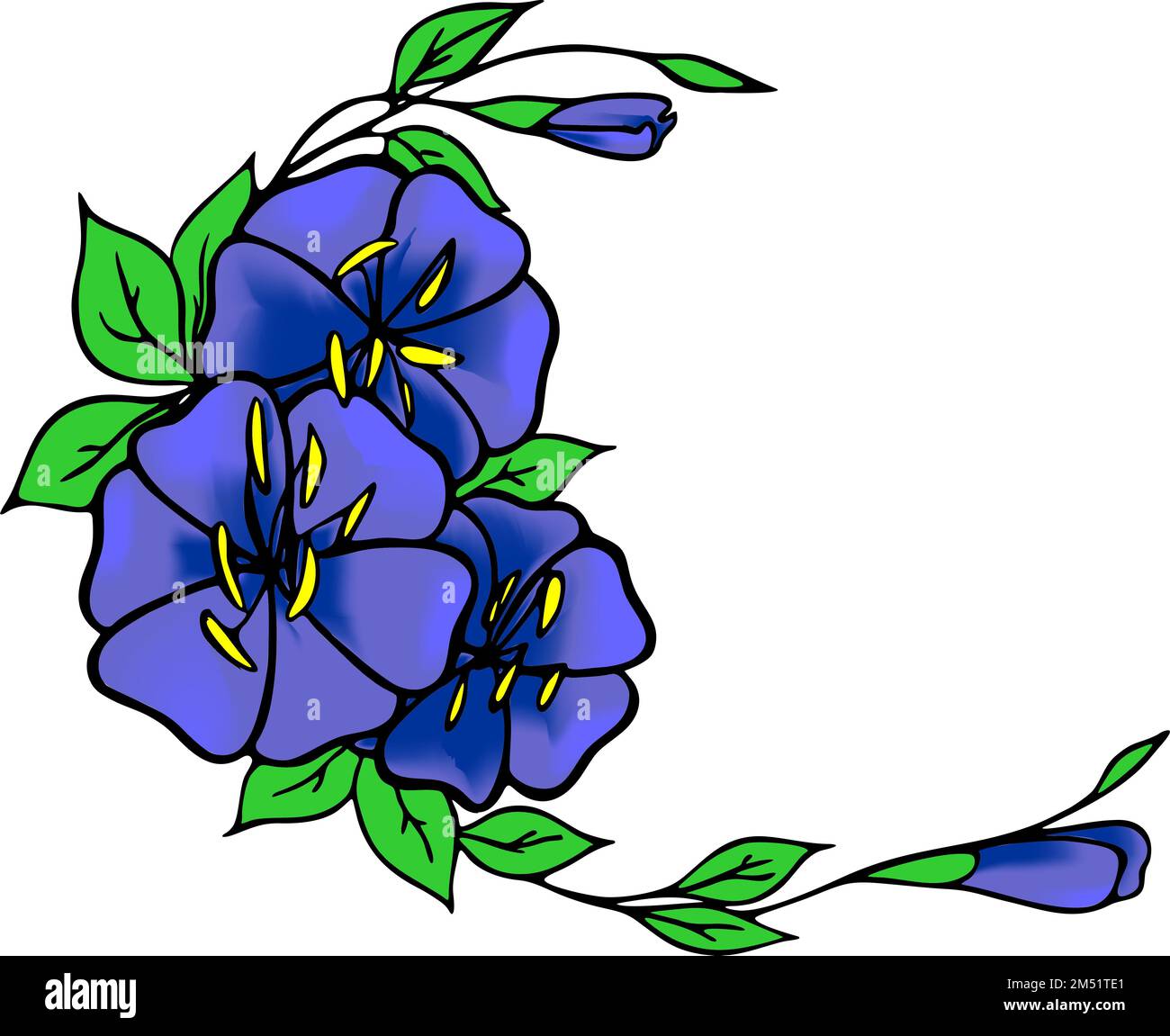 color graphic drawing of three blue flowers with black outline ...