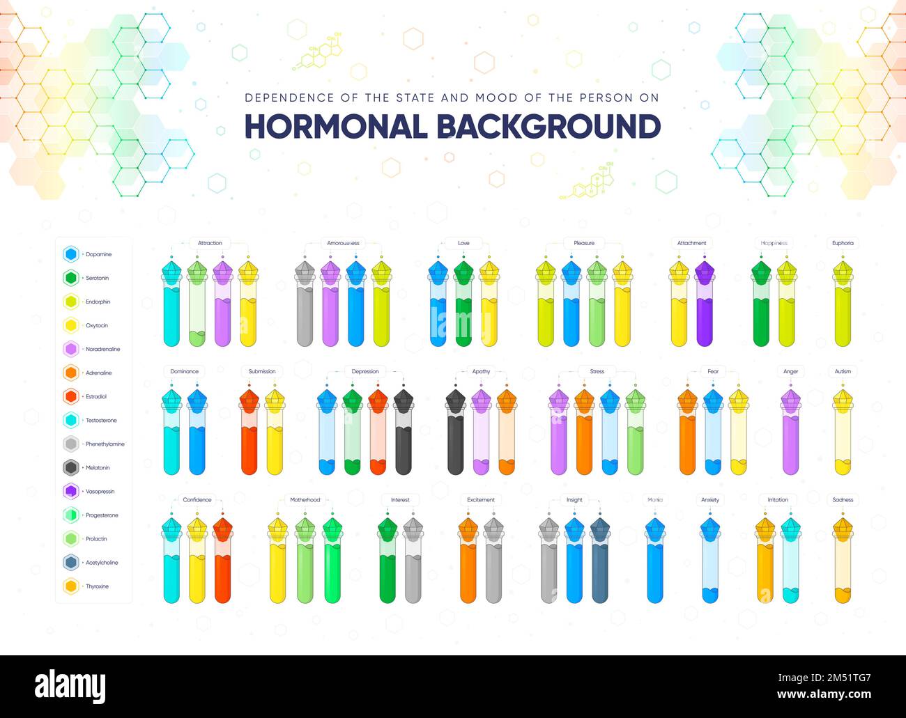 Hormones Stock Vector Images - Alamy