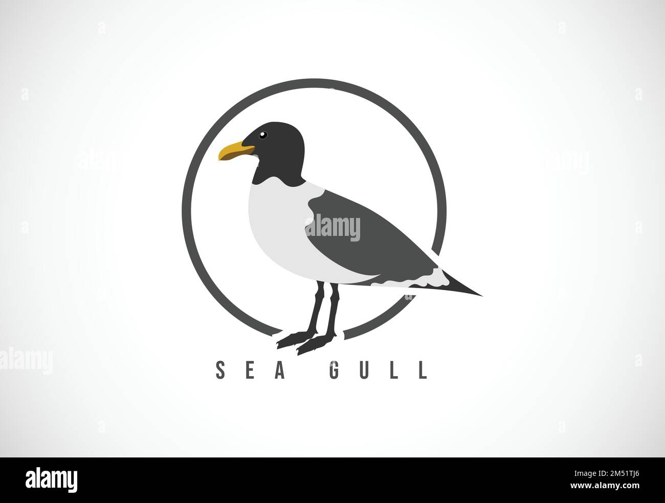 Sea Gull in a circle. Sea Gull logo design template vector illustration ...