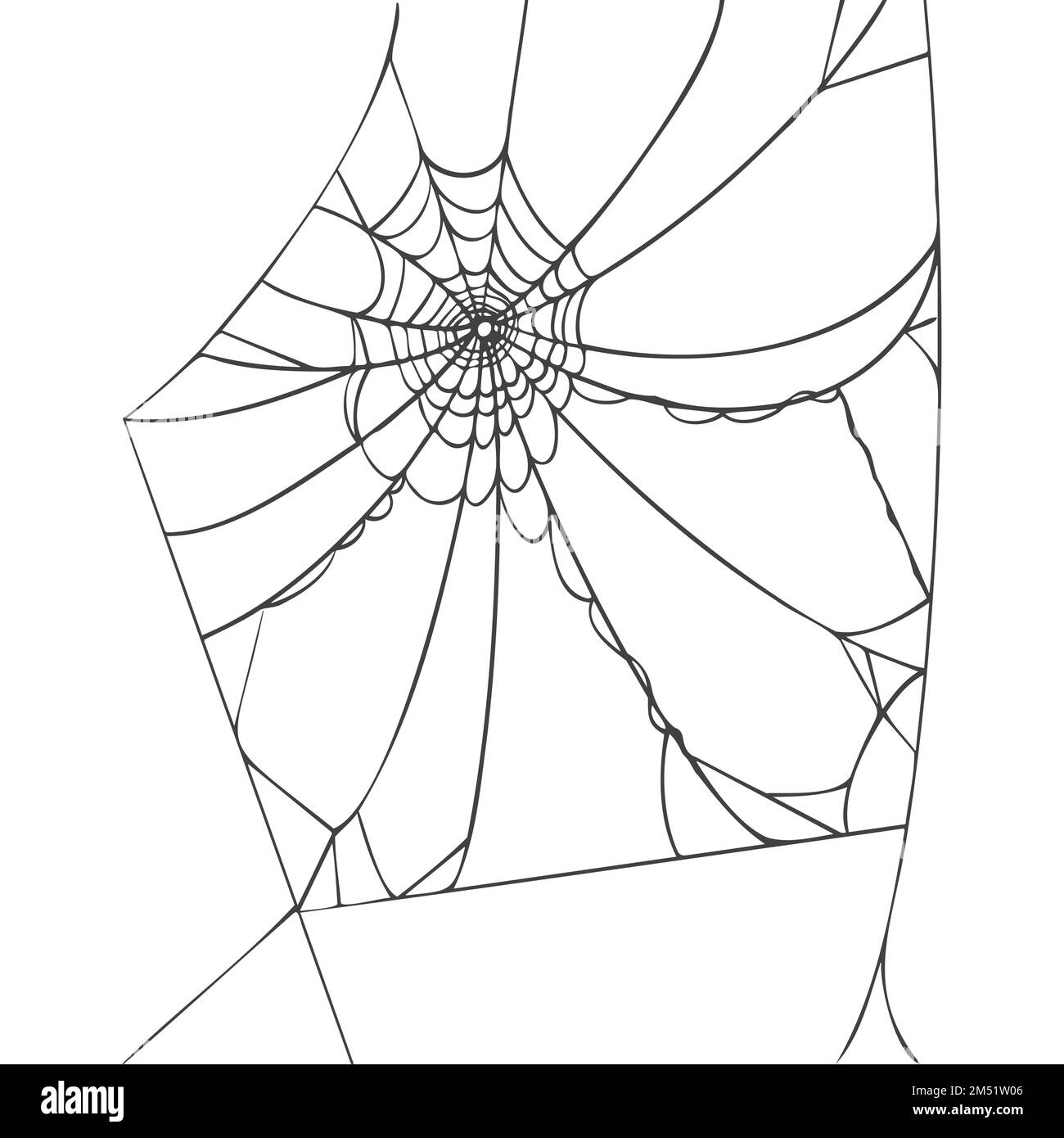 Spider web isolated on white background. Realistic hand drawn line ...
