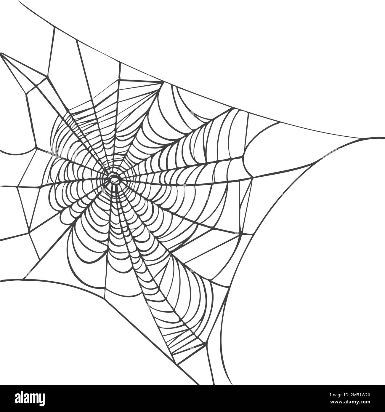Spider web isolated on white background. Realistic hand drawn line ...