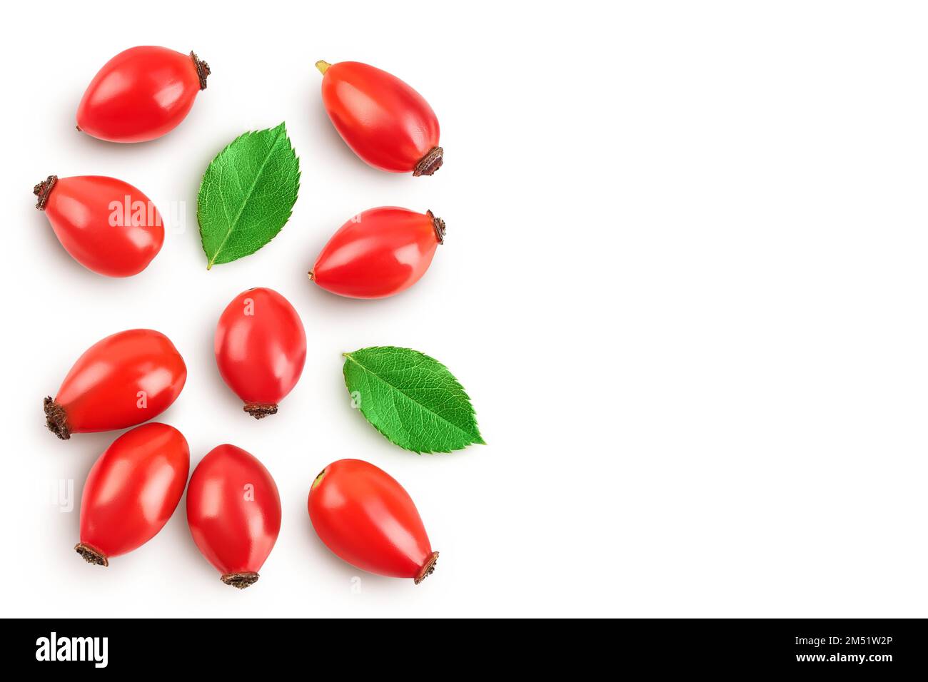 Rose hip isolated on a white background with full depth of field. Top ...