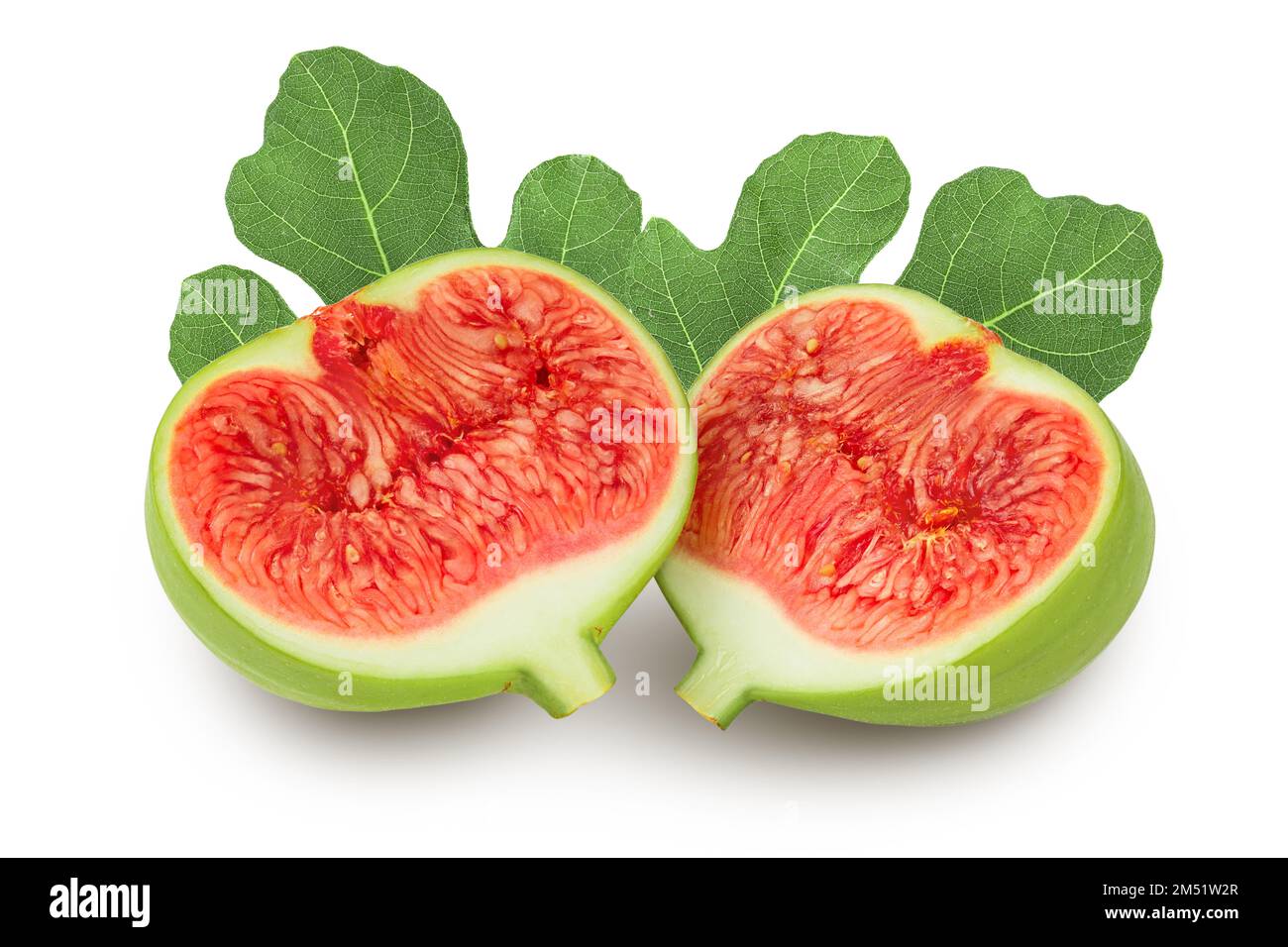 Ripe green fig fruit isolated on white background with full depth of ...