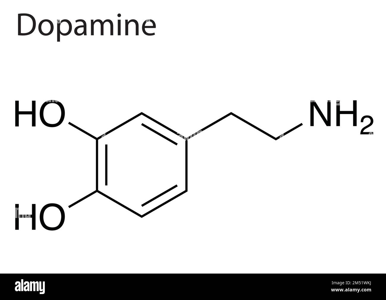 A Chemical formula structure of dopamine on white background Stock ...