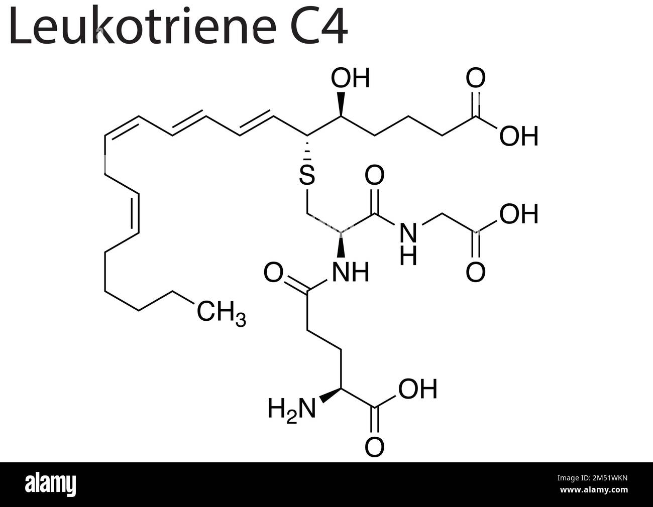 A Chemical formula structure of Leukotriene C4 on white background ...