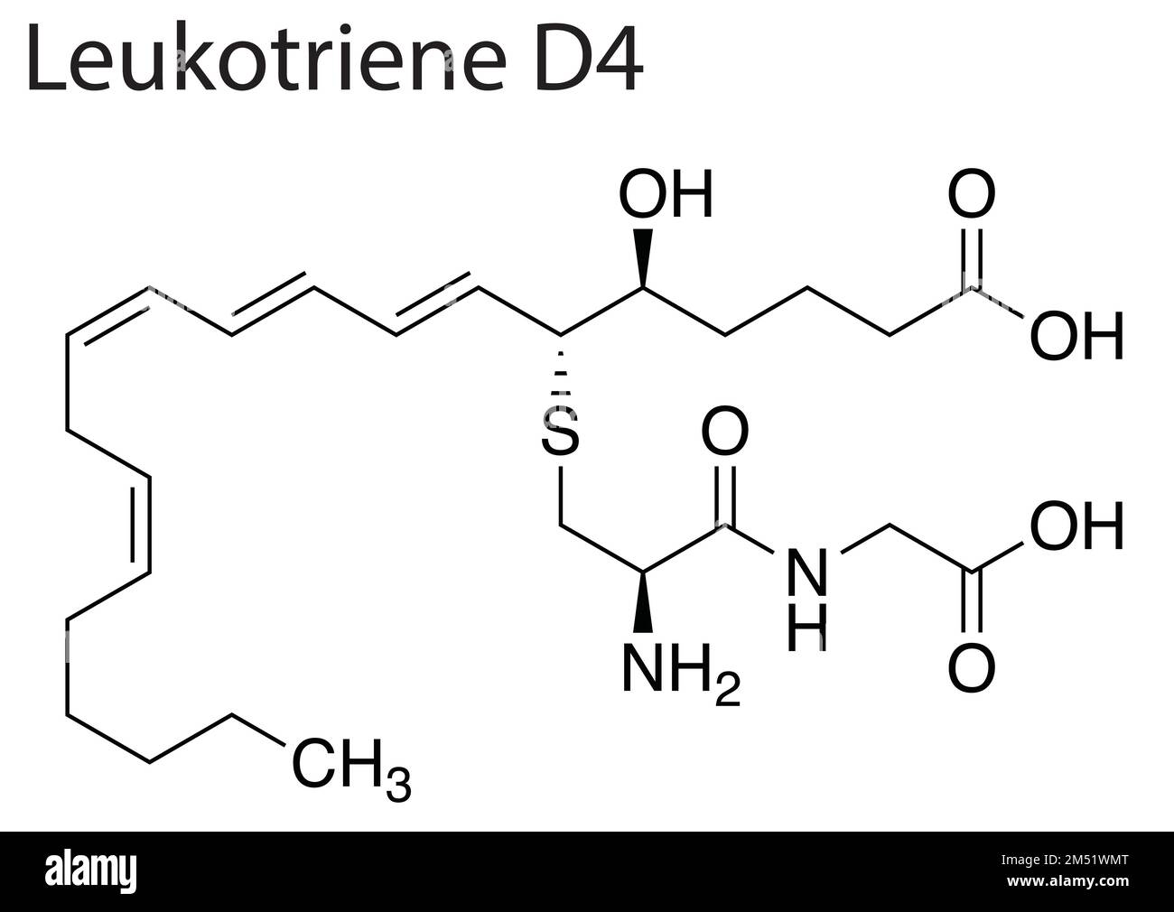 A Chemical formula structure of Leukotriene D4 on white background ...