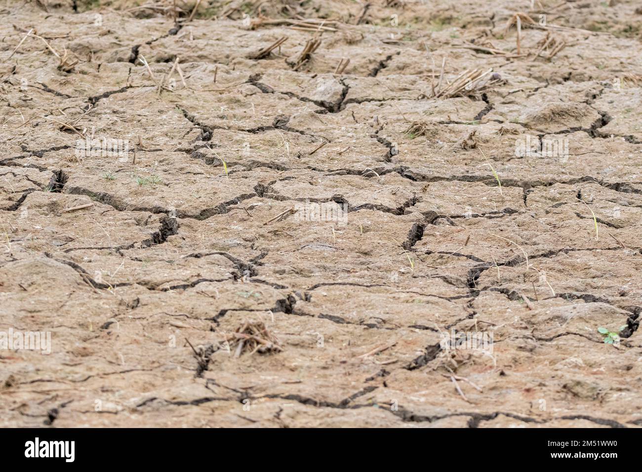 Dry terrain hi-res stock photography and images - Alamy