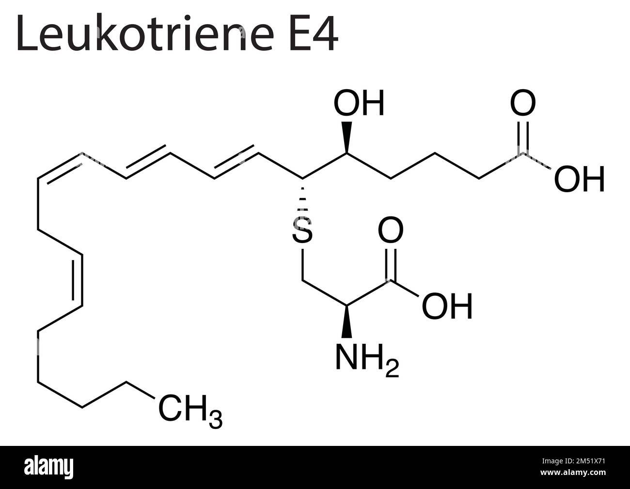A Chemical formula structure of Leukotriene E4 on white background ...