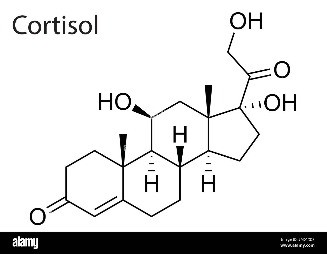 A Vector Of Molecular Structure Of Cortisol Human Steroid Stock Vector