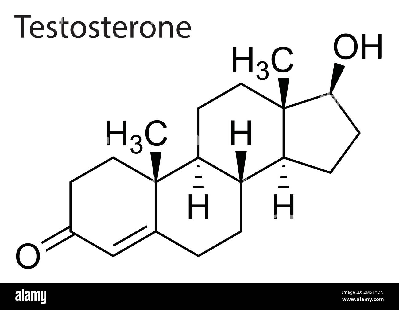 A Vector Of Molecular Structure Of Testosterone Human Steroid Stock