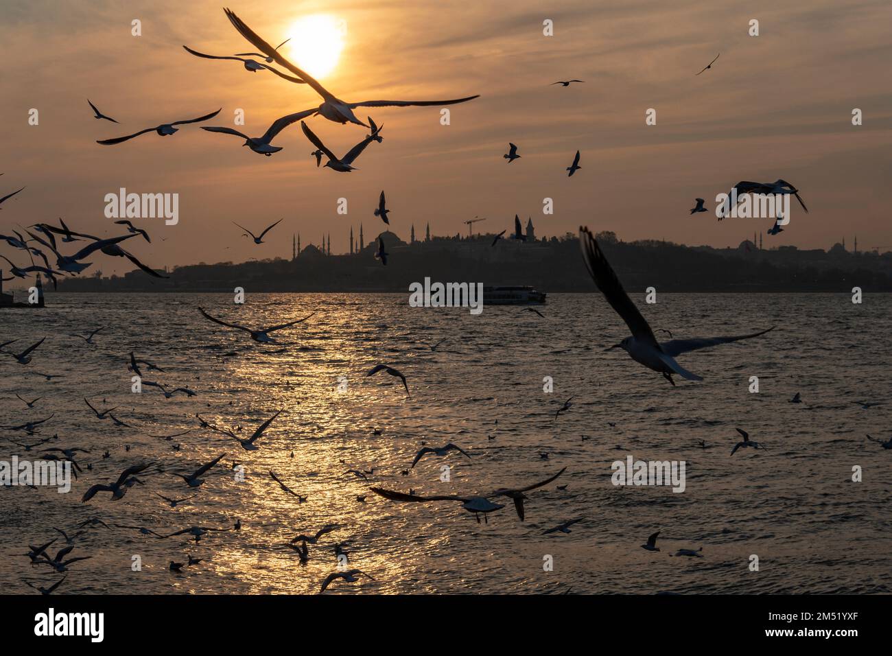 Historical Peninsula at sunset in Istanbul, Turkey Stock Photo - Alamy