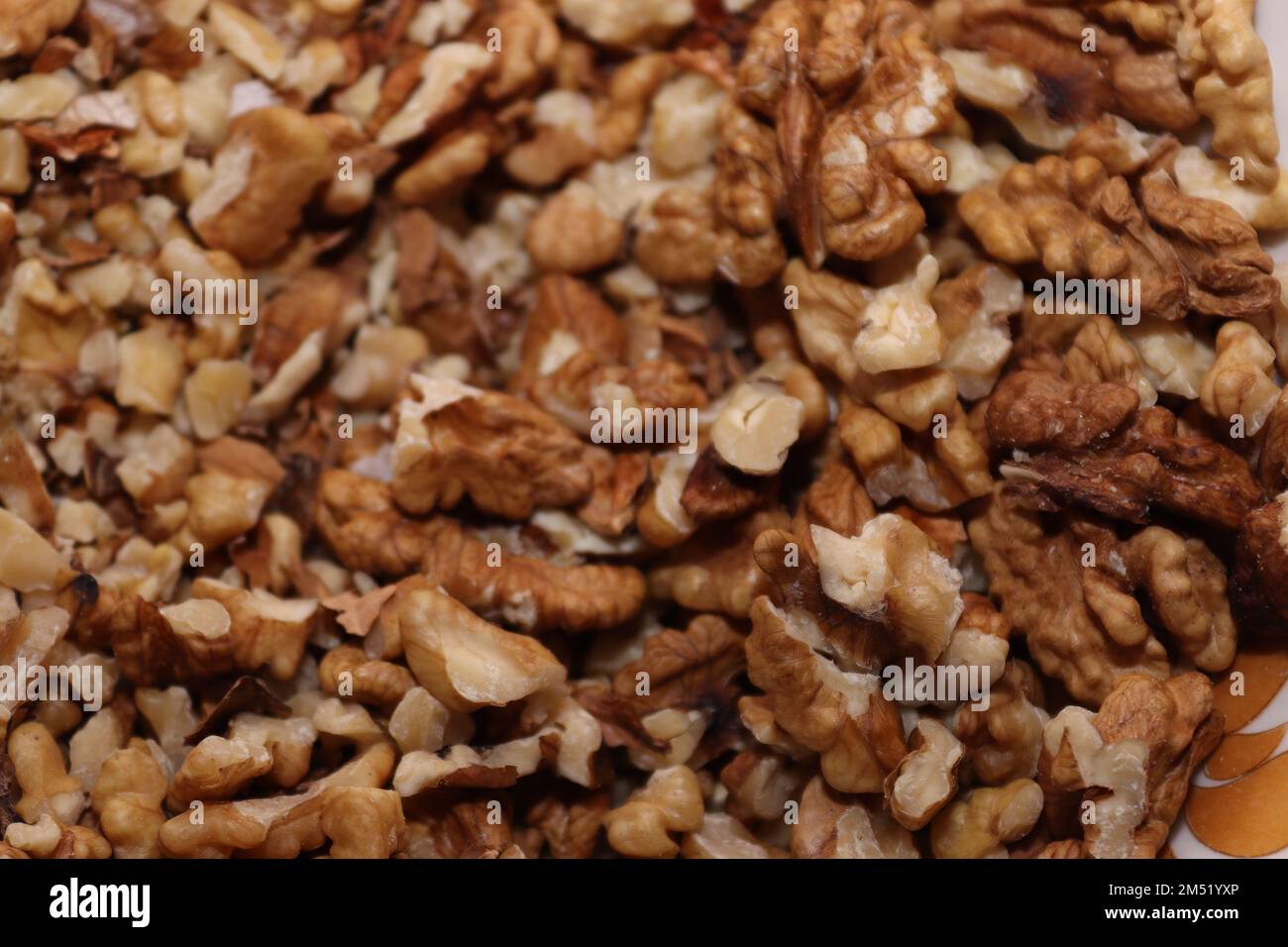 Walnut texture that can also be used as a background for different ...