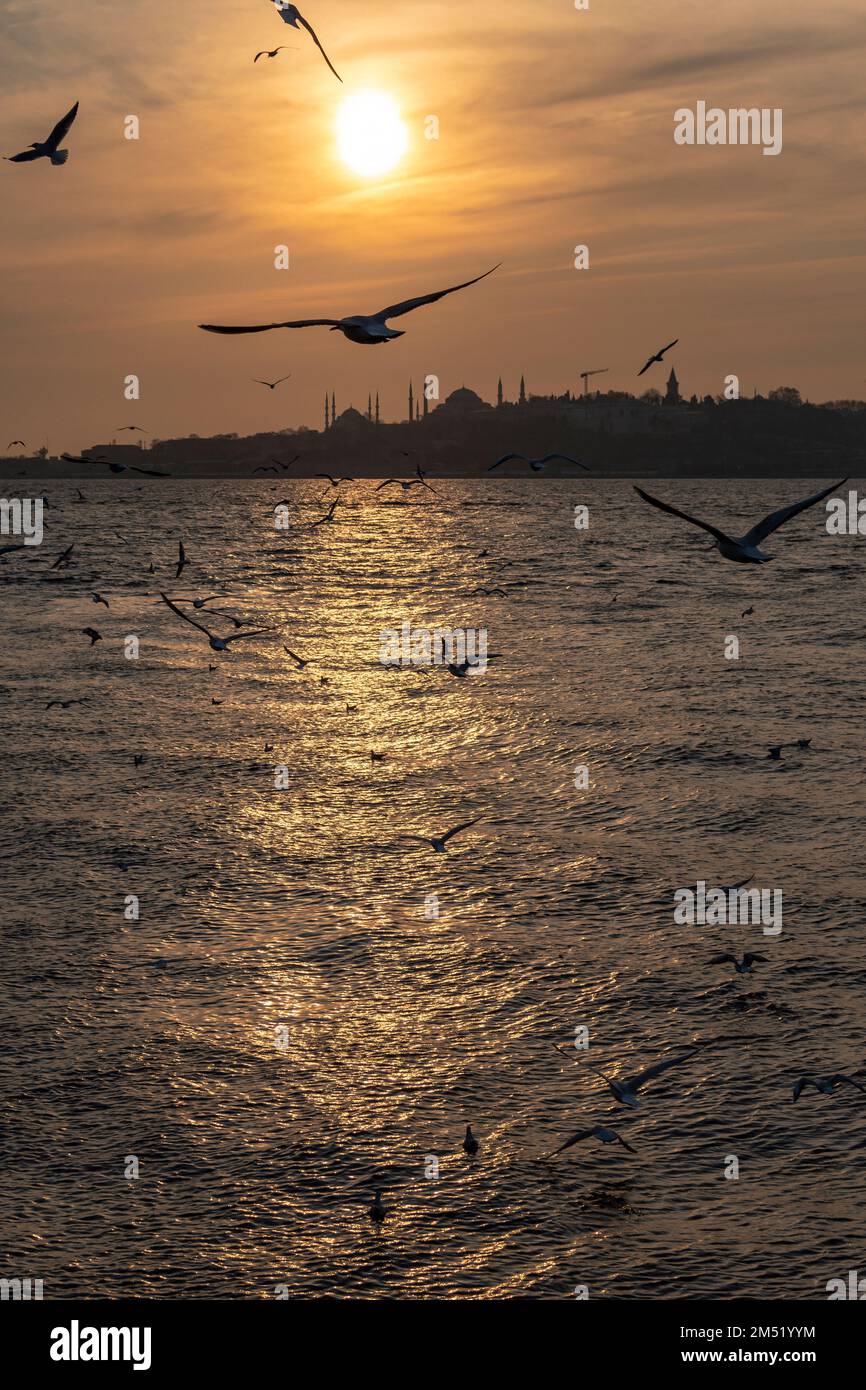 Historical Peninsula at sunset in Istanbul, Turkey Stock Photo - Alamy