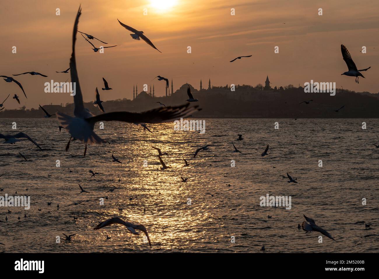 Historical Peninsula at sunset in Istanbul, Turkey Stock Photo - Alamy