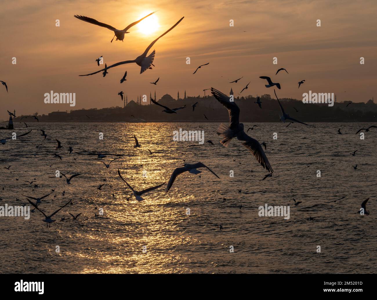 Historical Peninsula at sunset in Istanbul, Turkey Stock Photo - Alamy