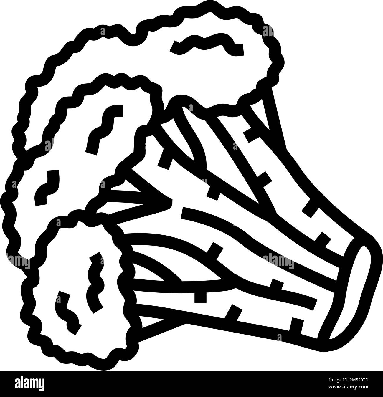 broccoli cabbage line icon vector illustration Stock Vector Image & Art ...