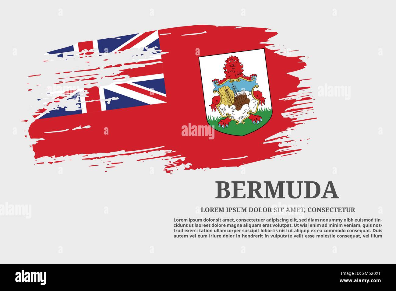 Bermuda flag grunge brush and text poster, vector Stock Vector Image ...
