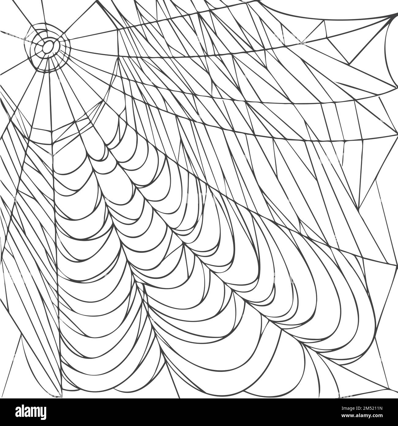 Spider web isolated on white background. Realistic hand drawn line ...