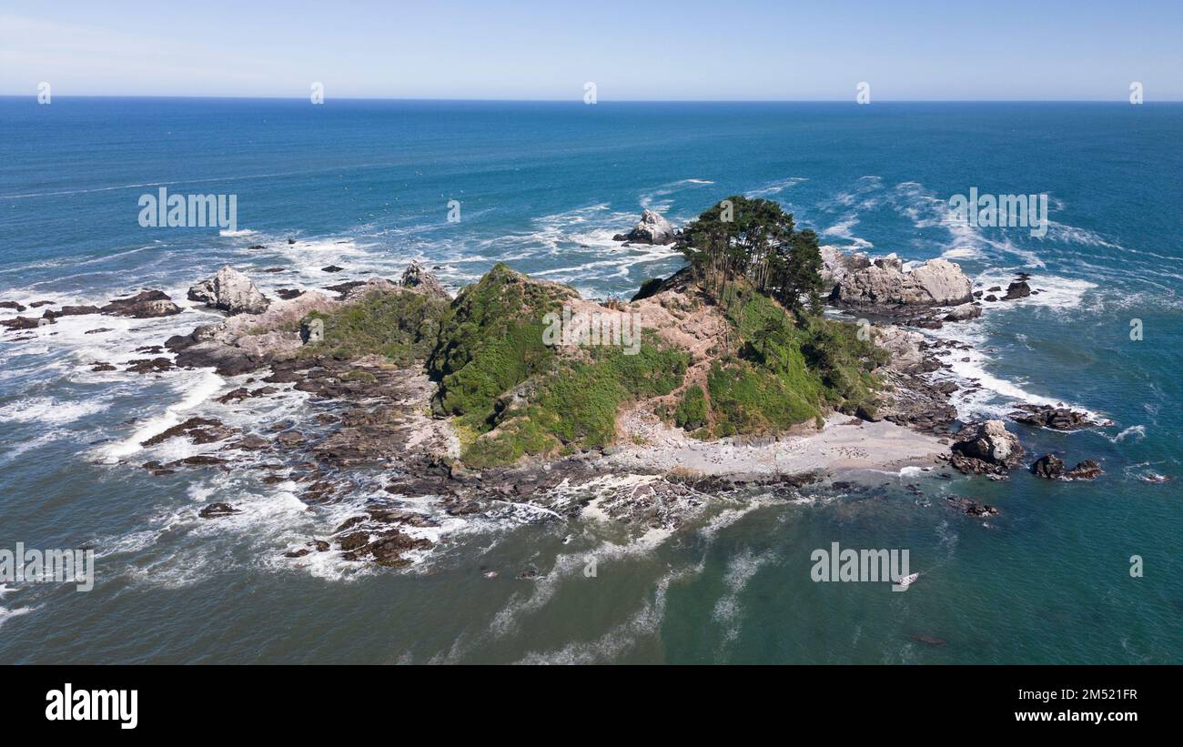 Aerial drone shot wild animals hi-res stock photography and images - Alamy