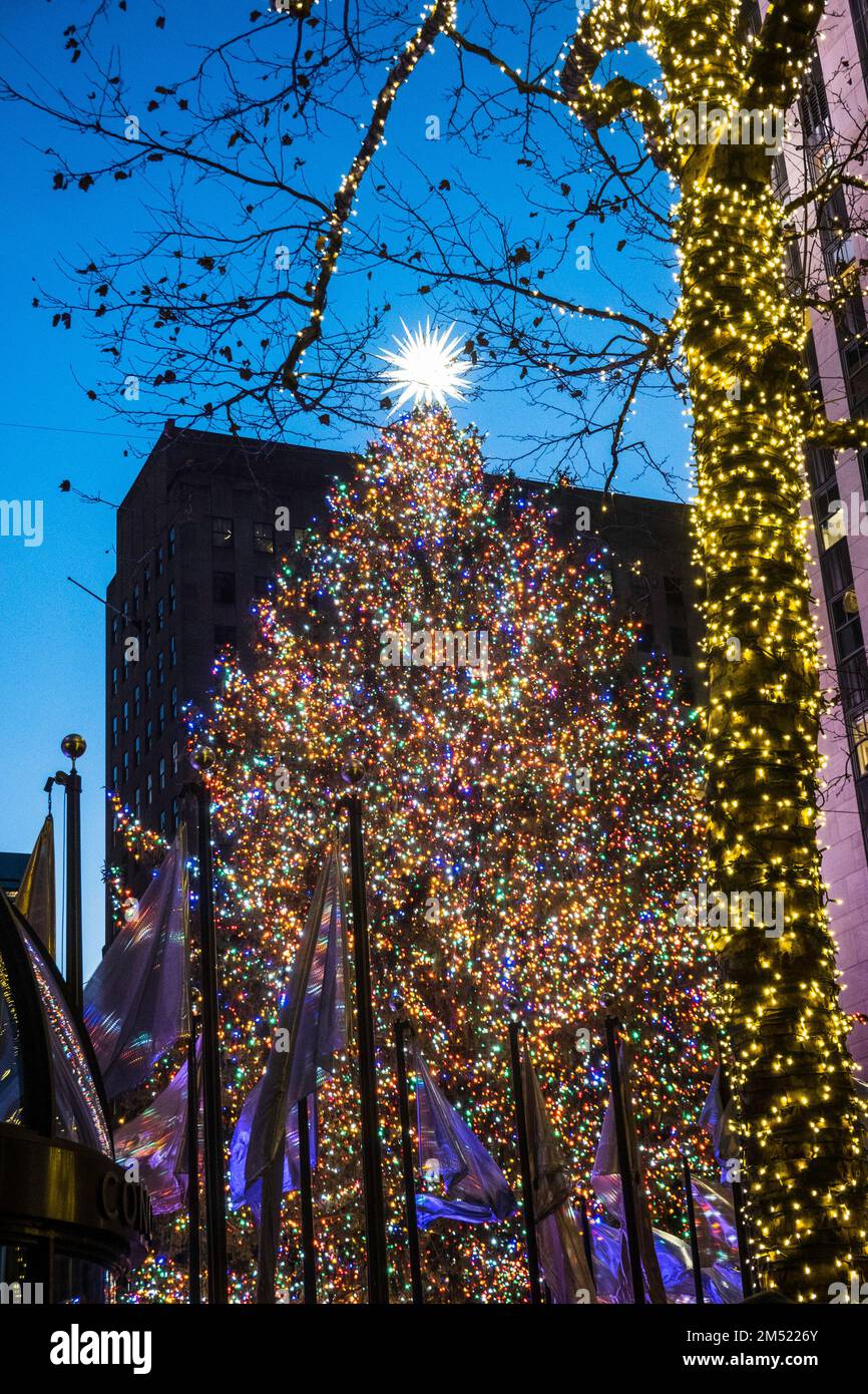 The Rockefeller Center Christmas Tree is an iconic holiday tradition in ...