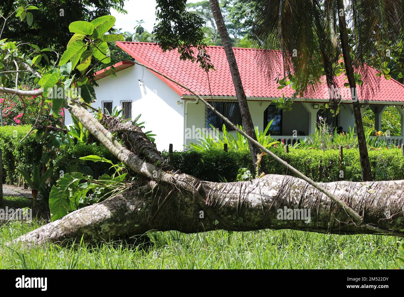 A lovely house with a beautiful garden in Costa Rica Stock Photo - Alamy