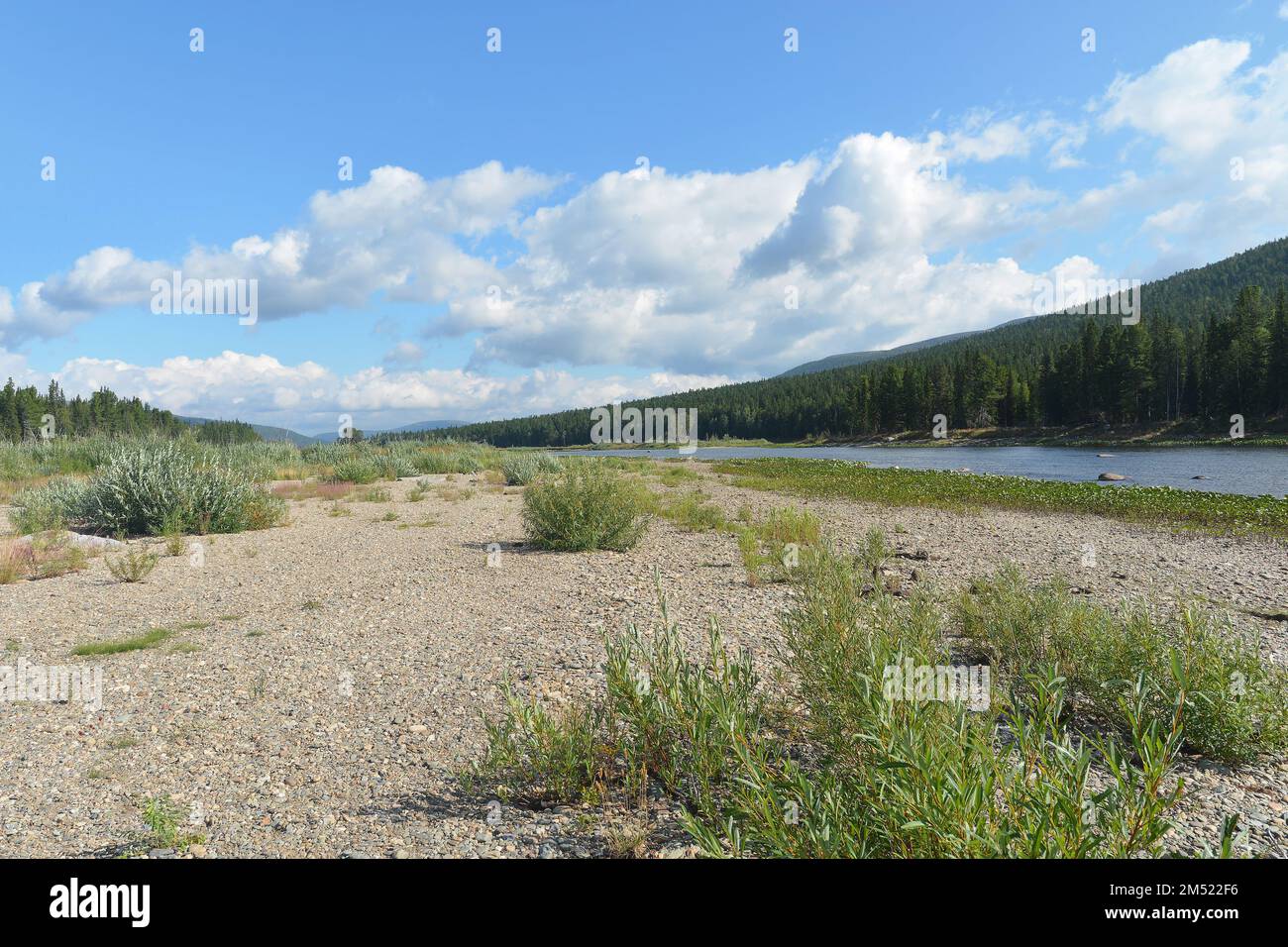 Summer in the Yugyd Va National Park. Komi Virgin Forests is a UNESCO ...