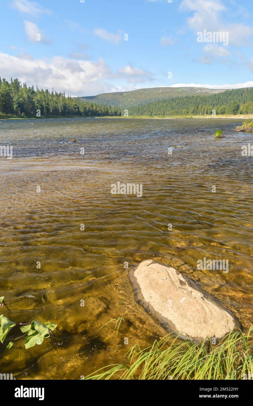 Summer in the Yugyd Va National Park. Komi Virgin Forests is a UNESCO ...
