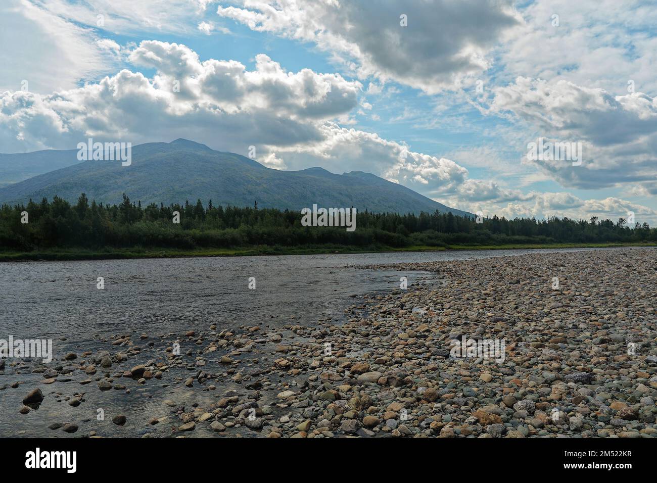 Summer in the Yugyd Va National Park. Komi Virgin Forests is a UNESCO ...