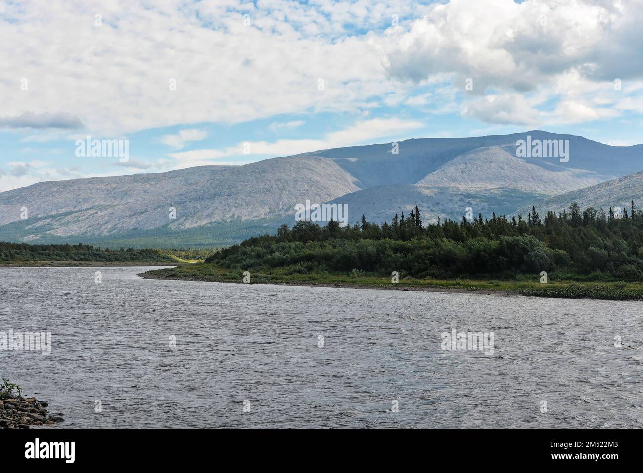 Summer in the Yugyd Va National Park. Komi Virgin Forests is a UNESCO ...
