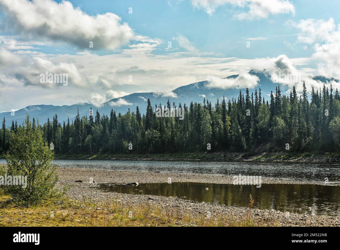 Summer in the Yugyd Va National Park. Komi Virgin Forests is a UNESCO ...