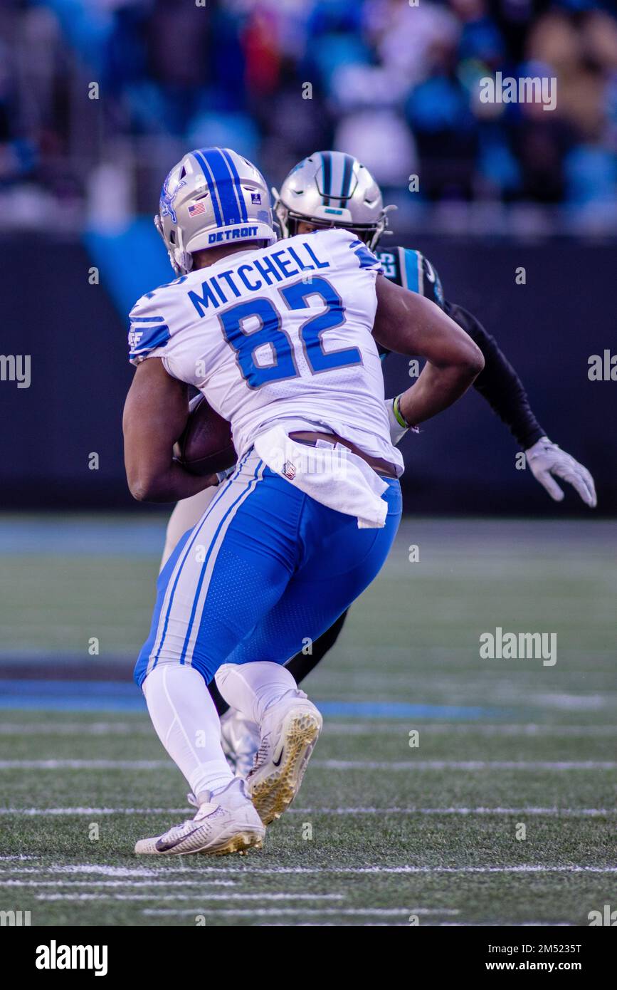 Scott mitchell lions hi-res stock photography and images - Alamy