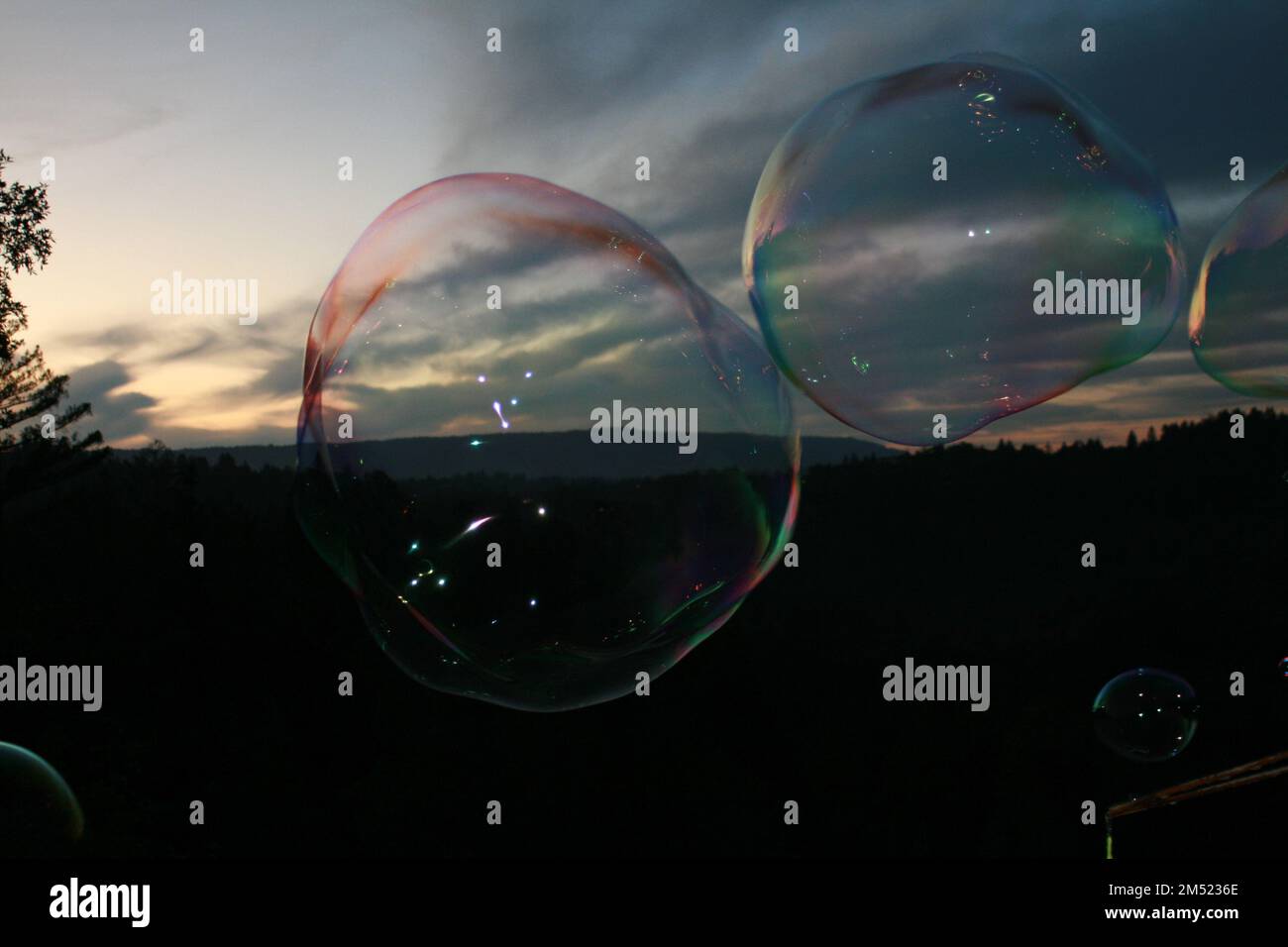 Large bubbles in santa cruz hi-res stock photography and images - Alamy