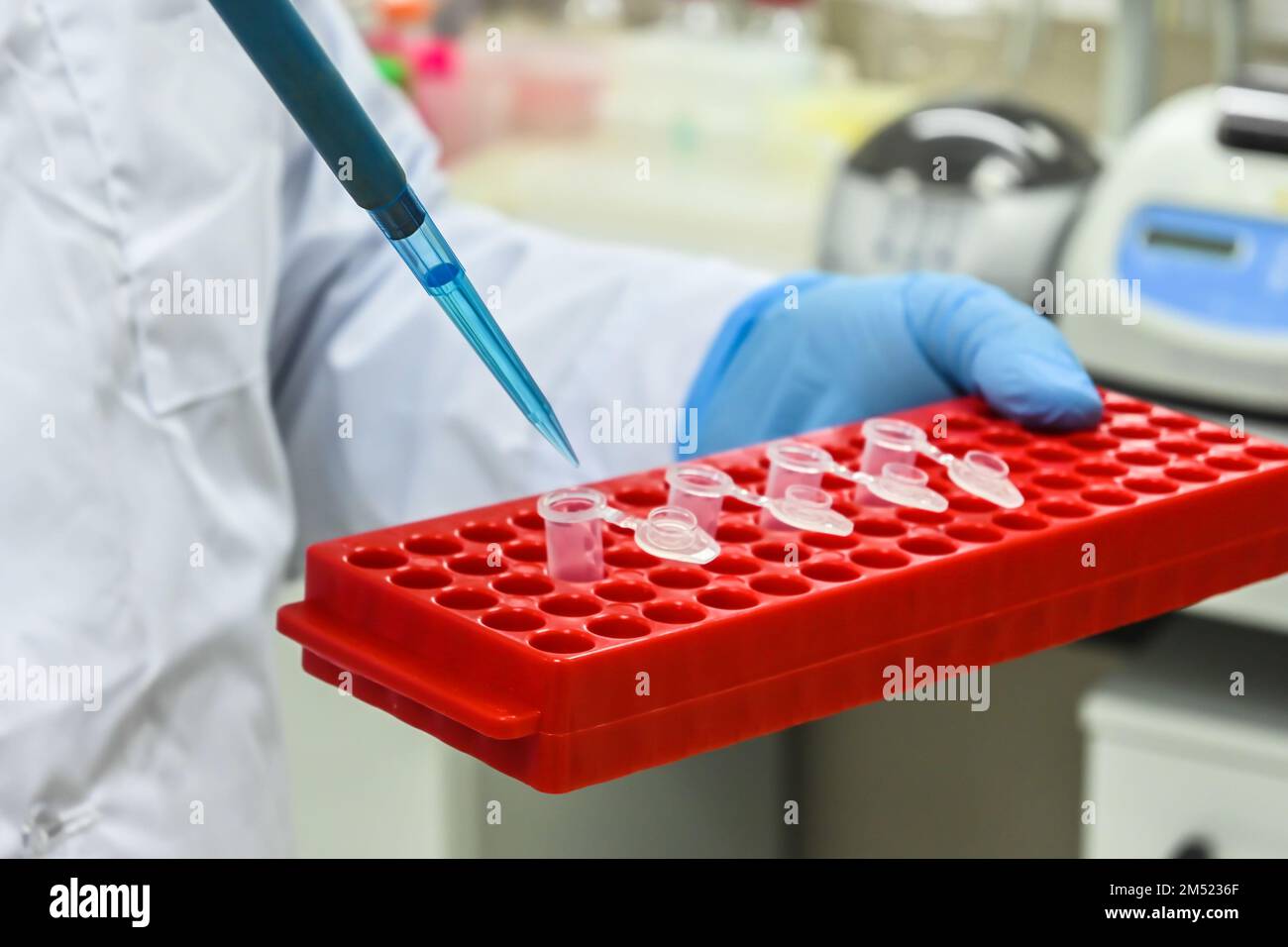 In the biology lab. Manipulations with samples during the study Stock ...