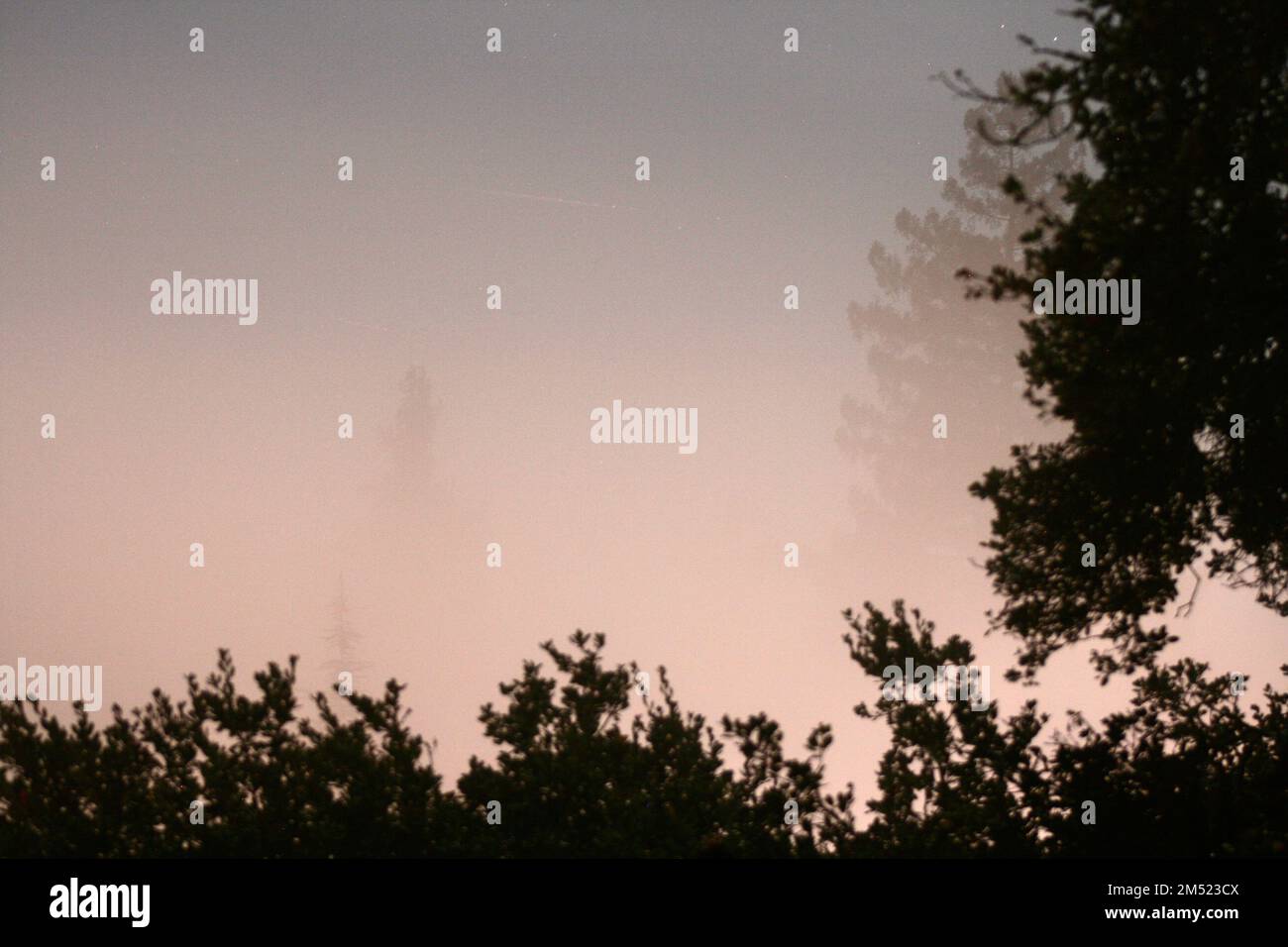 Ground Fog and Trees during Full Moon Stock Photo - Alamy