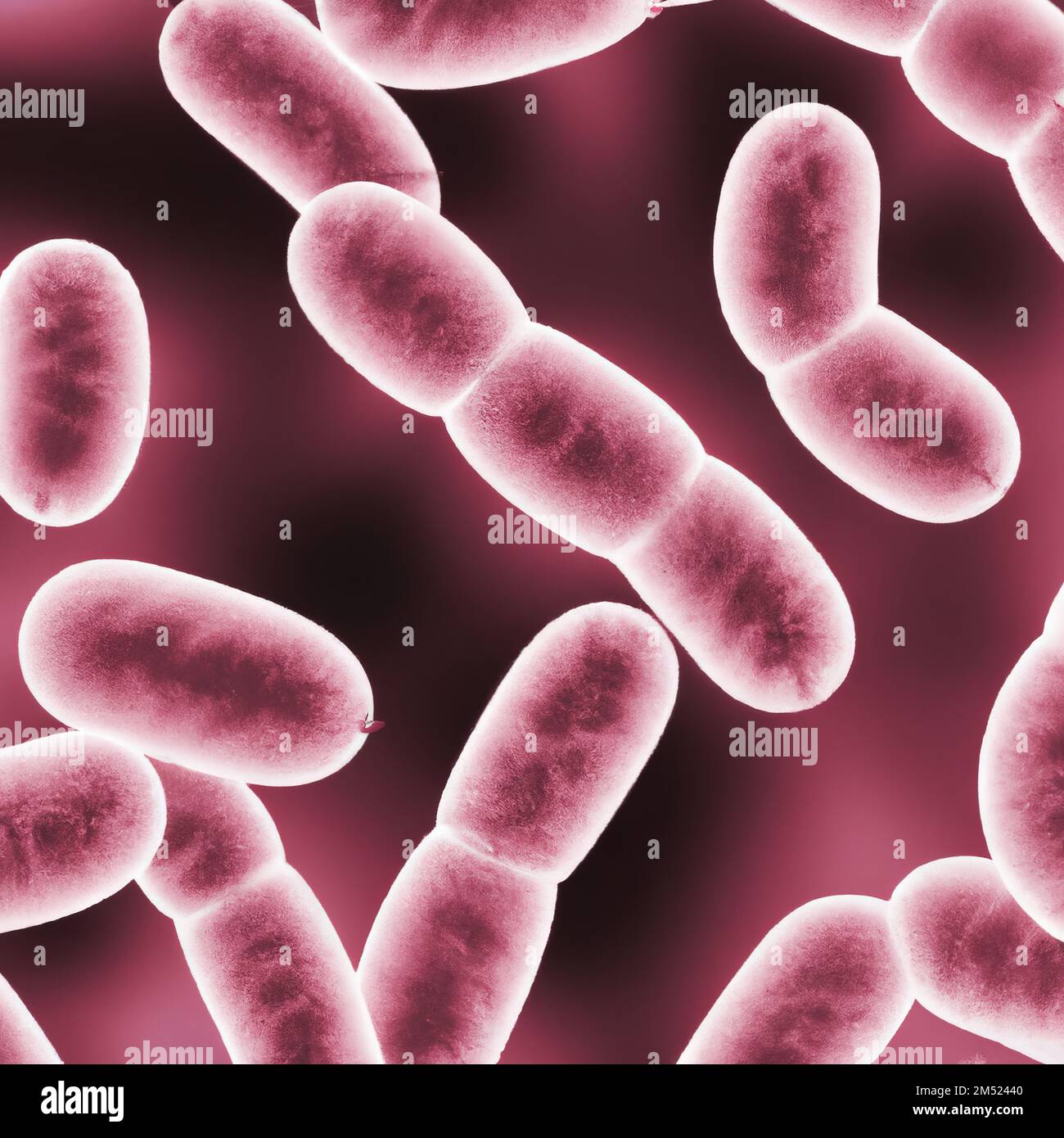 Closeup illustration of microscopic bacteria cells Stock Photo - Alamy