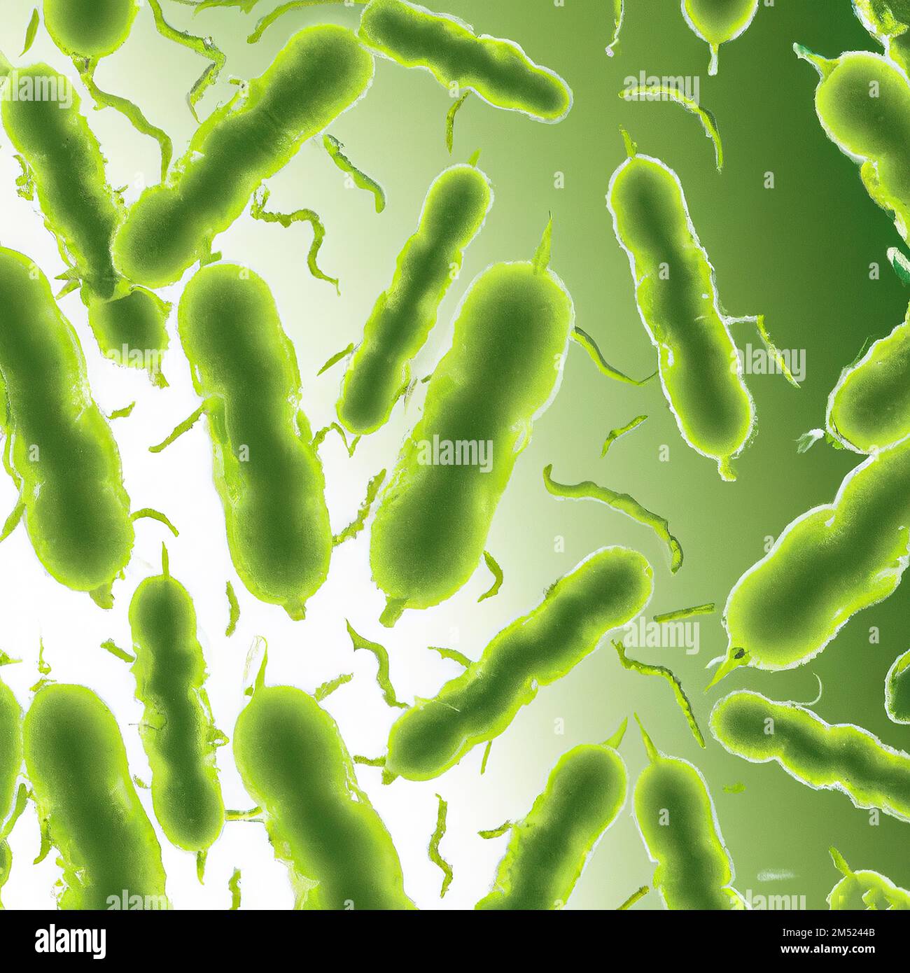 Closeup illustration of microscopic bacteria cells Stock Photo - Alamy