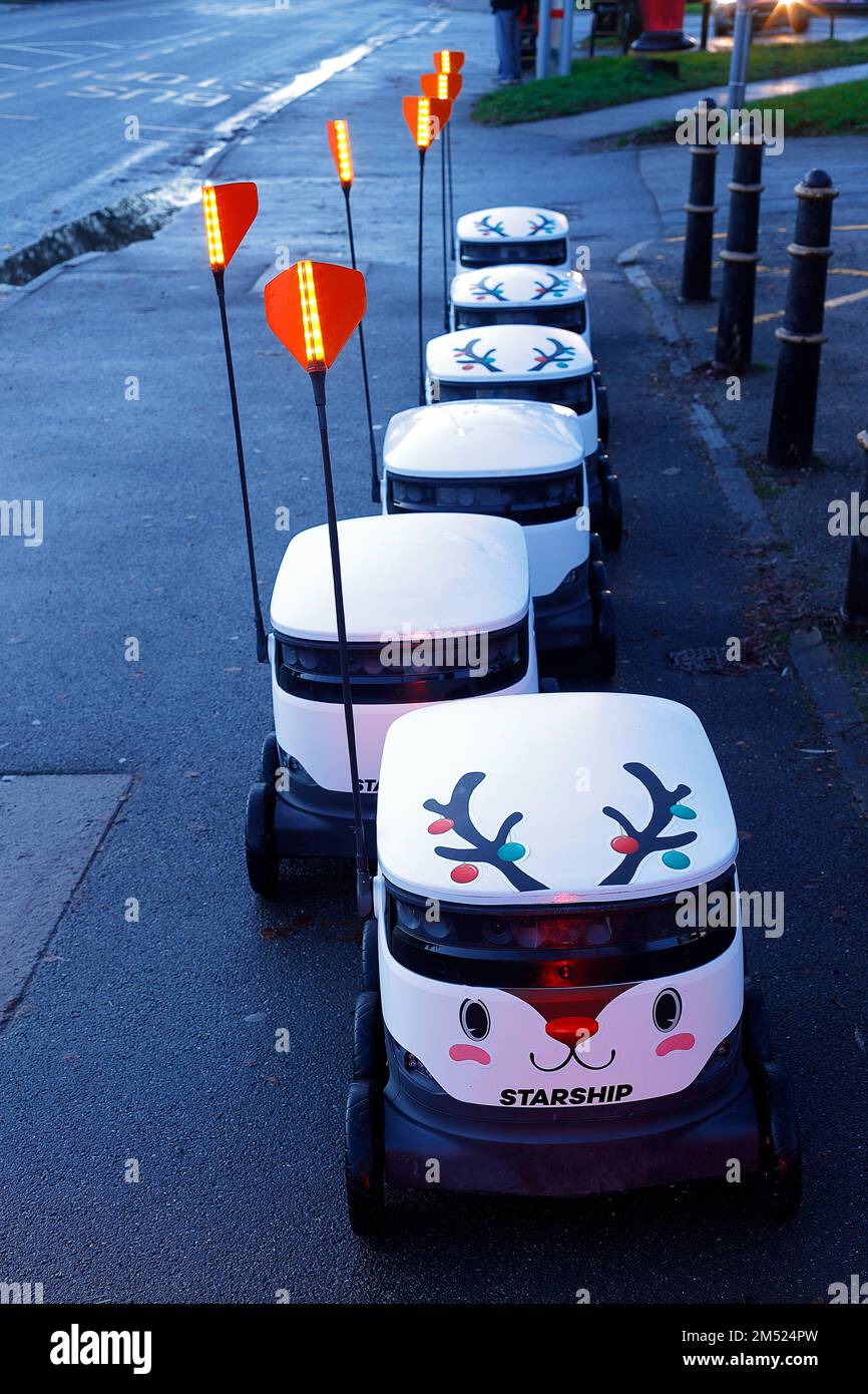 A line of autonomous robots await instructions before carrying out ...