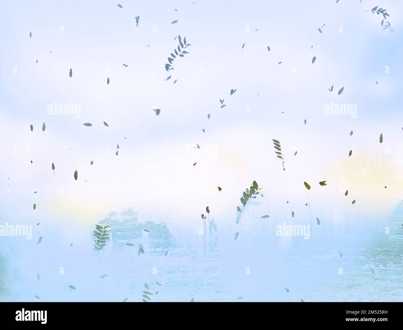 You are looking through a window filled with mist, water, leaf matter ...