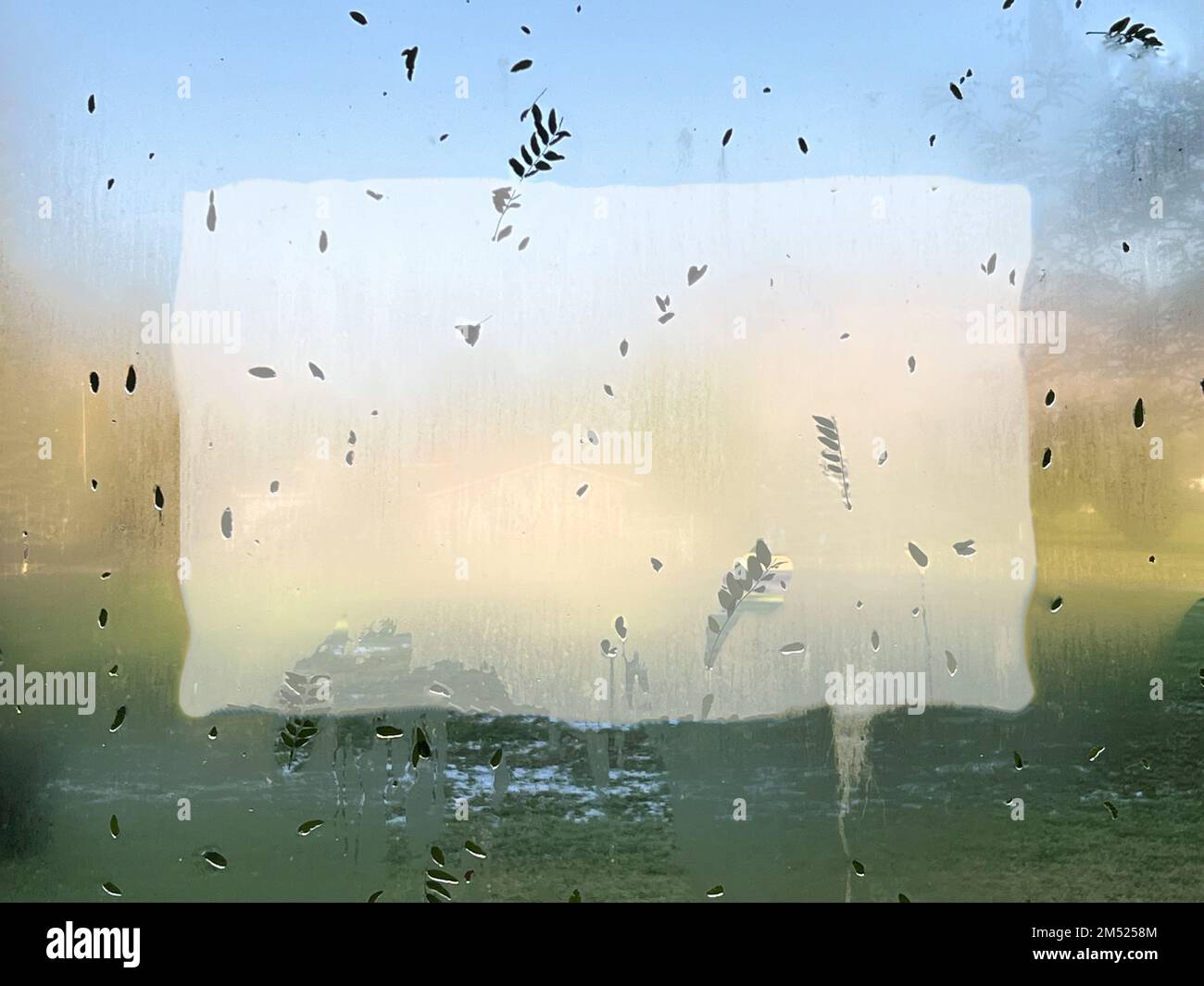 Frame your text message in a window filled with mist, water, leaf ...