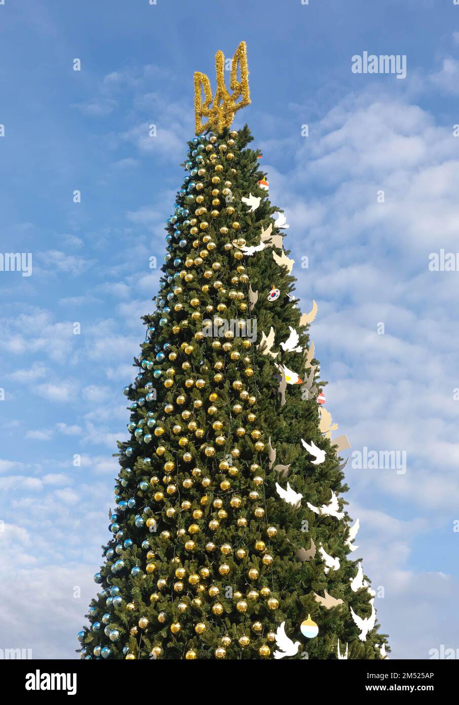 The country's main Christmas tree seen on Sofiyivska Square in Kyiv. A ...