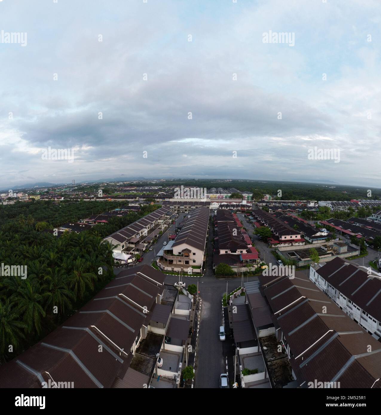 aerial morning suburb sky scene where it is surrounded with oil palm ...
