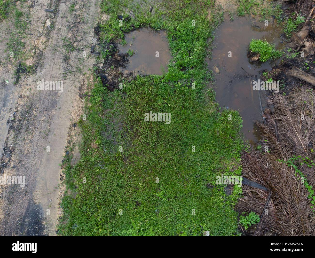 aerial scene of the vacant agriculture land fulls of puddle Stock Photo ...