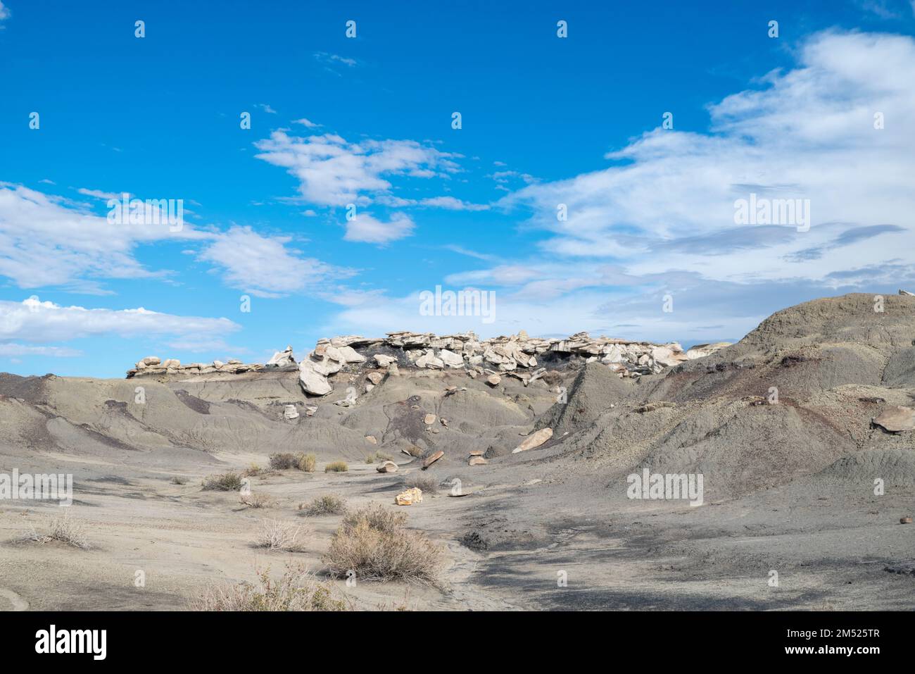 Photograph of the Bisti/De-Na-Zin Wilderness Area, a beautiful site of ...