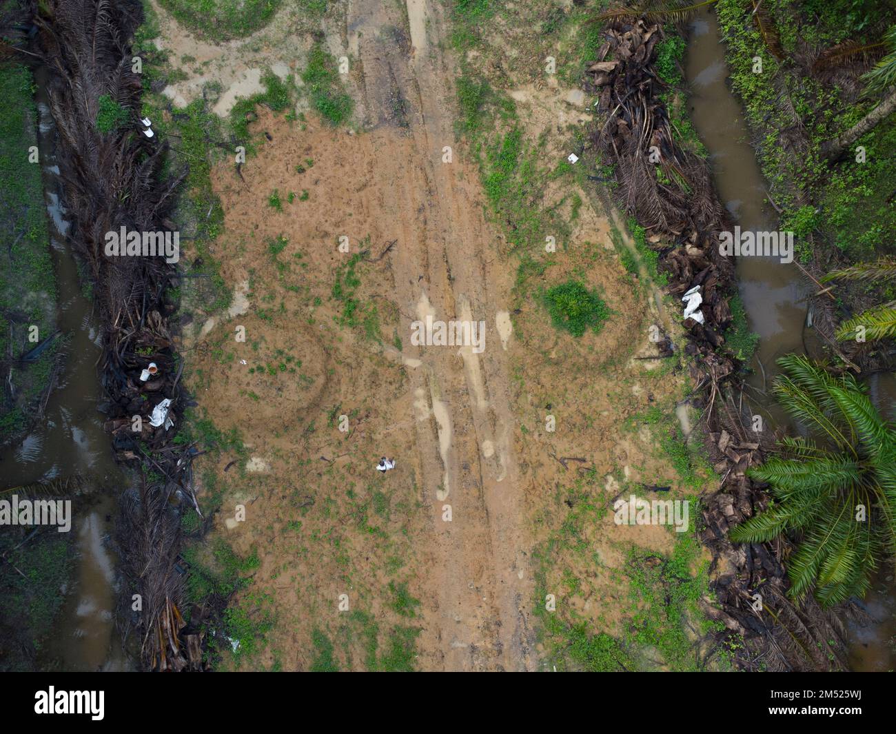 aerial scene of the vacant agriculture land fulls of puddle Stock Photo ...