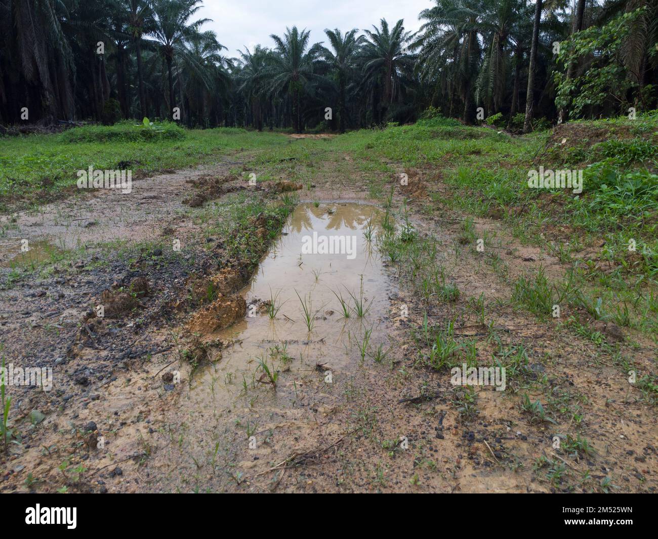 aerial scene of the vacant agriculture land fulls of puddle Stock Photo ...