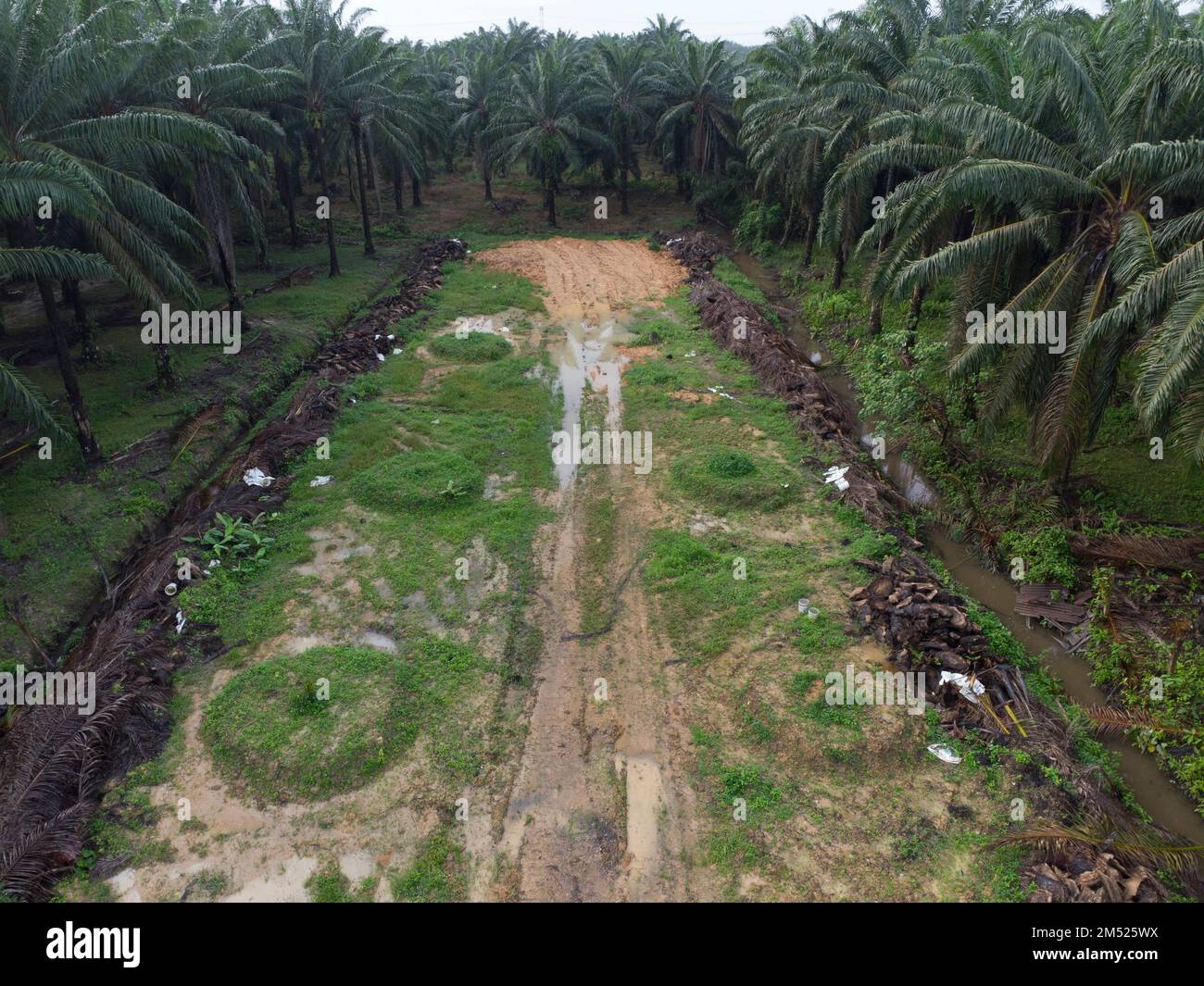 Aerial scene vacant agriculture land hi-res stock photography and ...