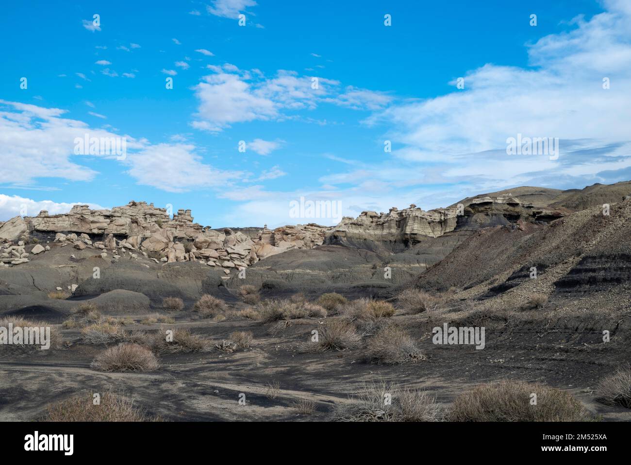 Photograph of the Bisti/De-Na-Zin Wilderness Area, a beautiful site of ...