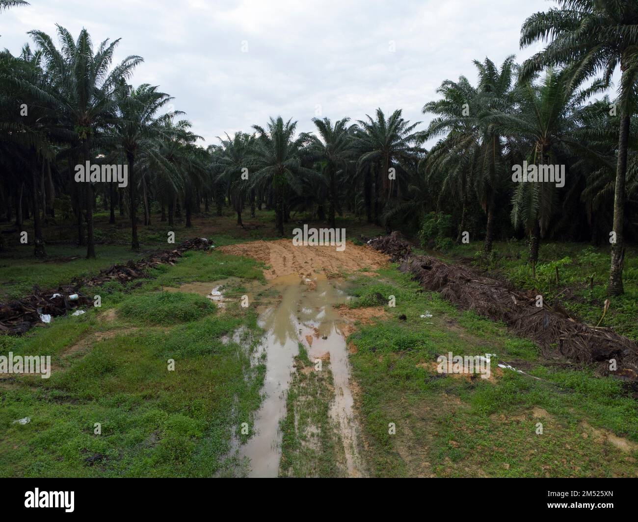 Aerial scene vacant agriculture land hi-res stock photography and ...