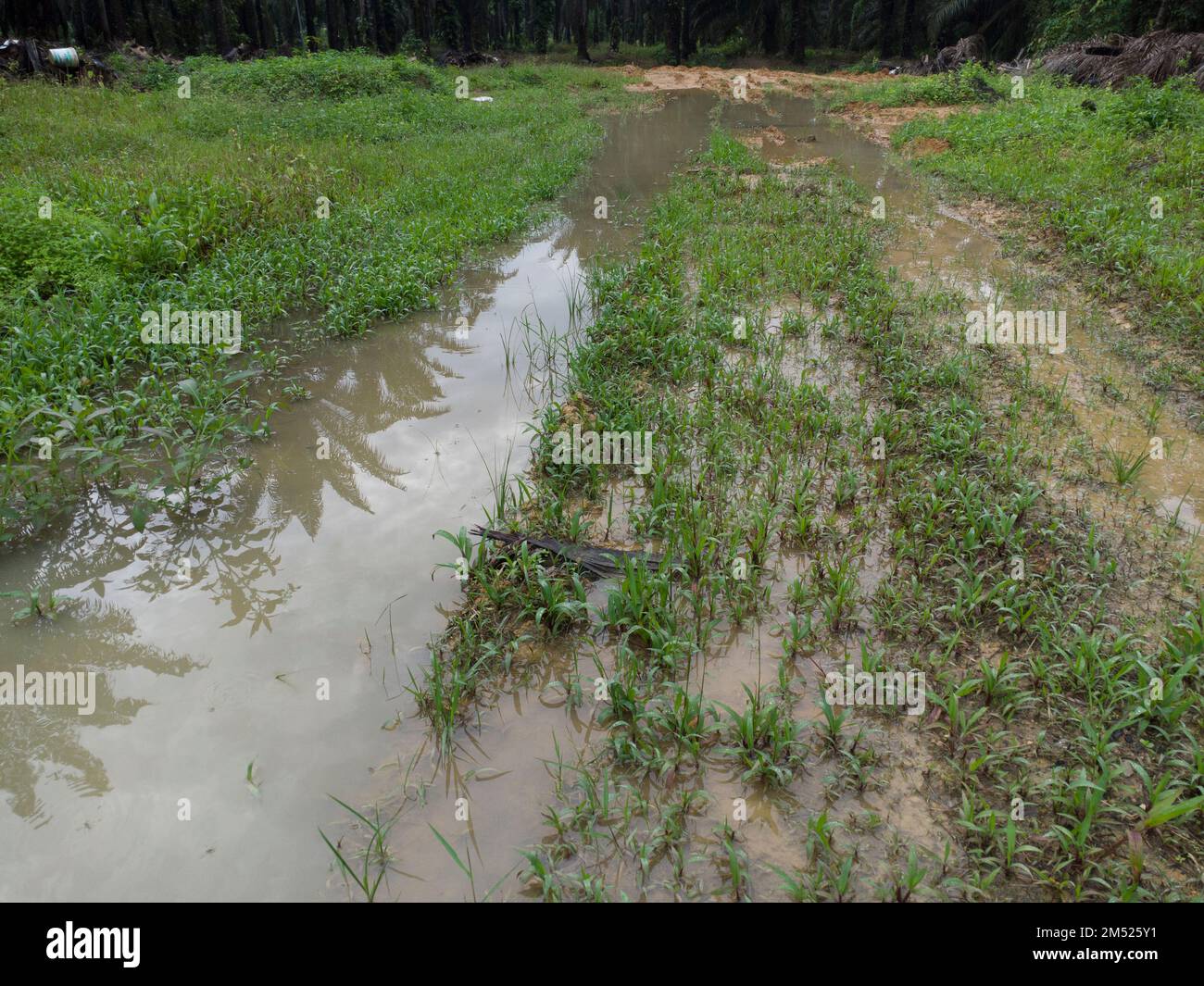 aerial scene of the vacant agriculture land fulls of puddle Stock Photo ...